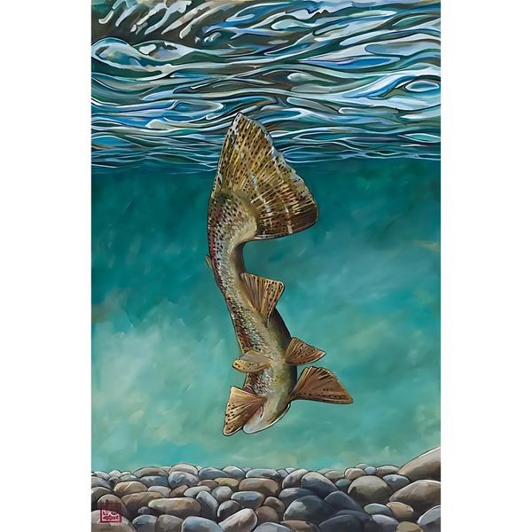 Solo Rainbow by Josh Udesen - Midcurrent