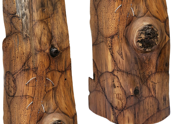 Splintered by Mark Usyk - Midcurrent