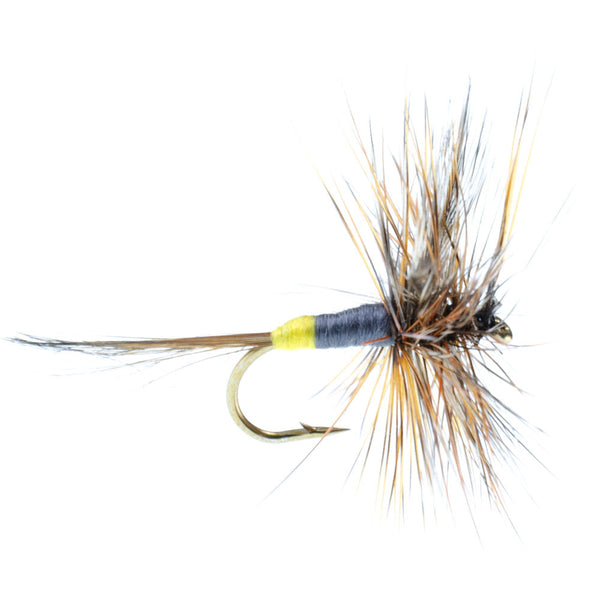 Adams Female Dry Fly – 3 Pack, Hook Size 16 - Midcurrent