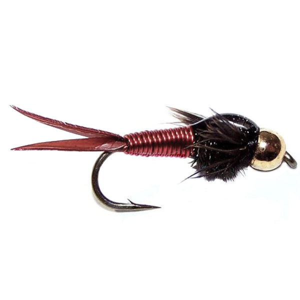 Basics Collection – Bead Head Copper John Nymph Assortment (10 Pack, 5 ...