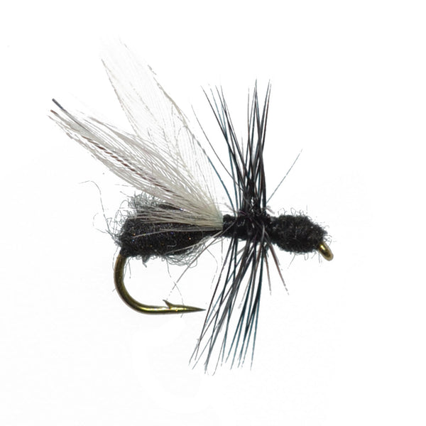 Trout Fly Assortment - Premium Terrestrial Flies - 24 Essential Hopper ...