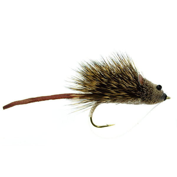 Bass Bug Collection – Assorted Poppers & Divers (12 Pack, Sizes 2, 4 ...